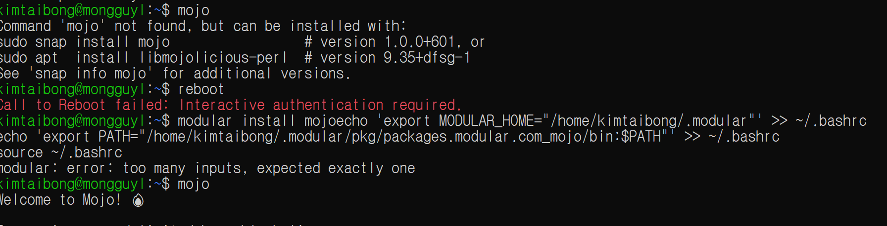 How to Set Up a Mojo Development Environment on Windows (2025 Complete ...